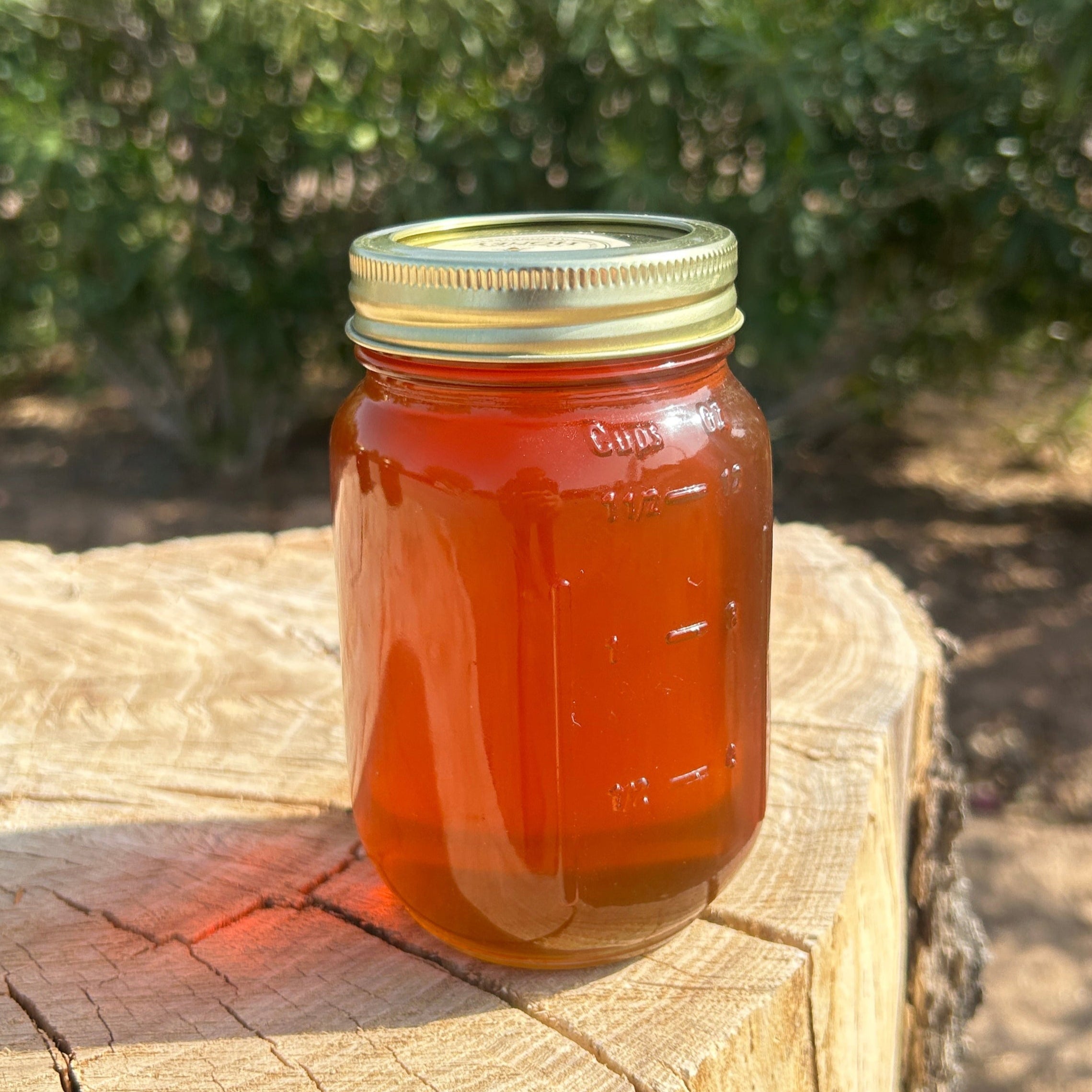 Raw Desert Mesquite Honey – Arizona Local Raw Honey
