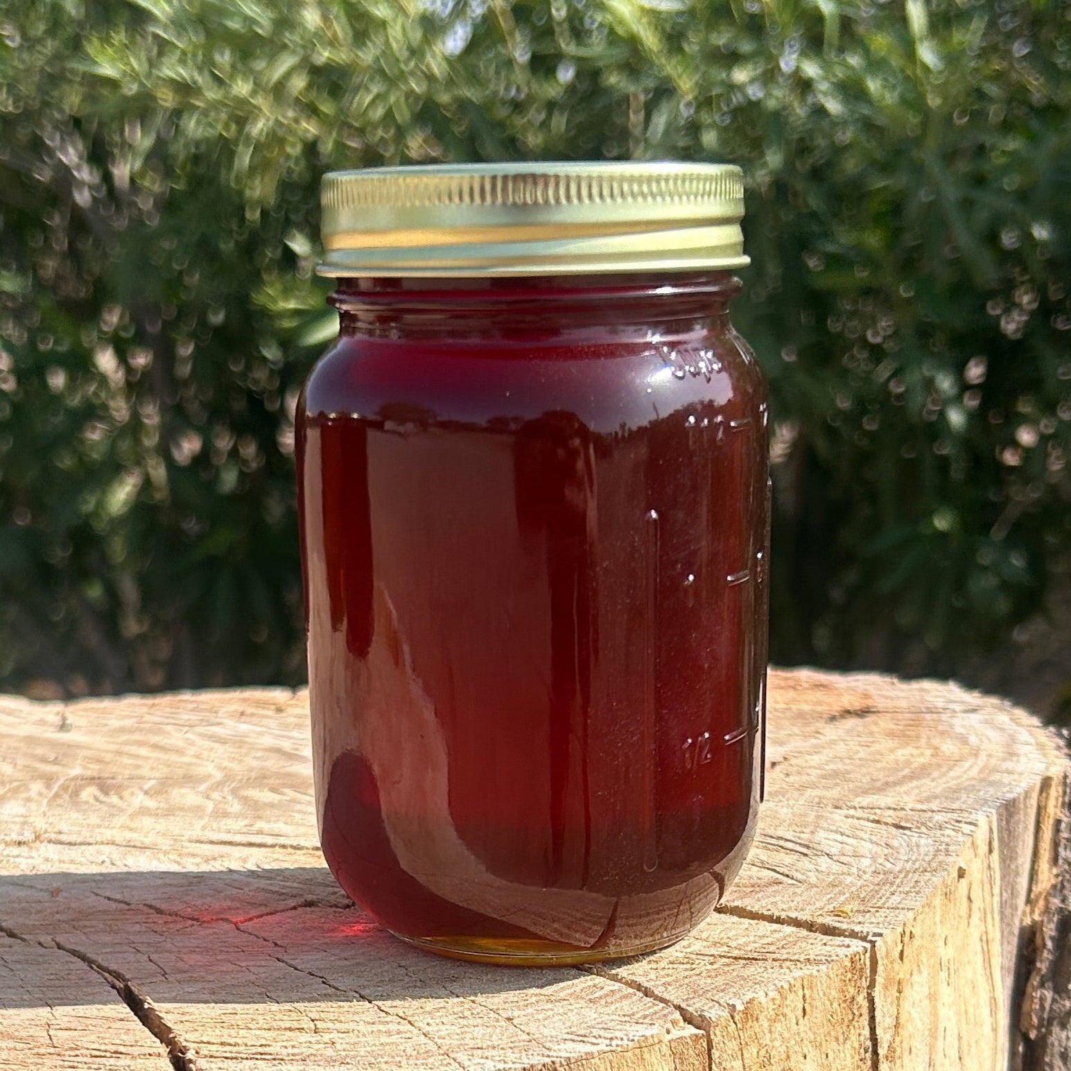 Raw Wildflower Honey – Arizona Local Raw Honey