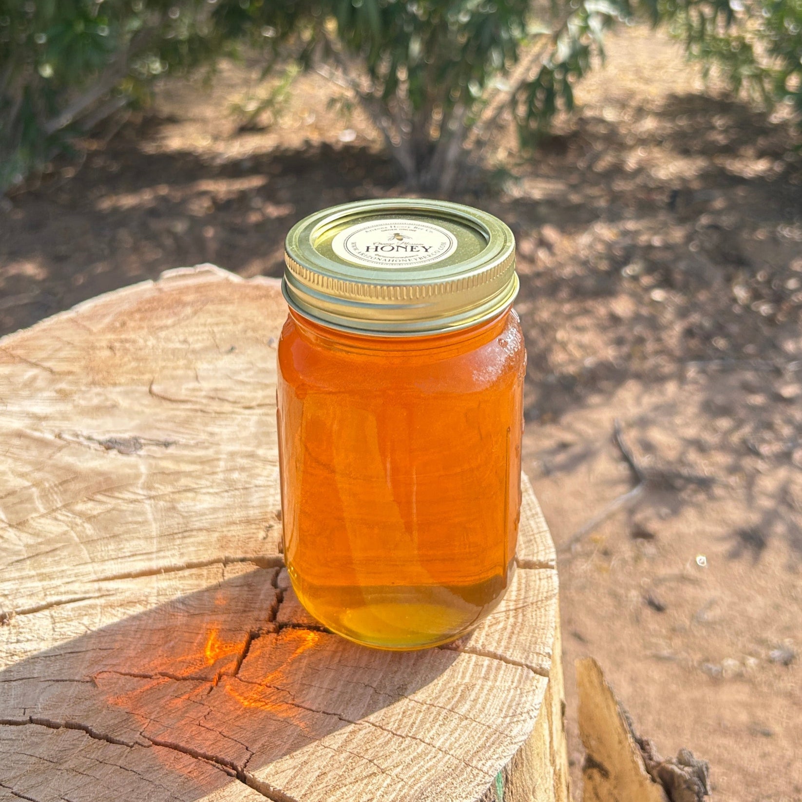 Raw Orange Blossom Honey – Arizona Local Raw Honey