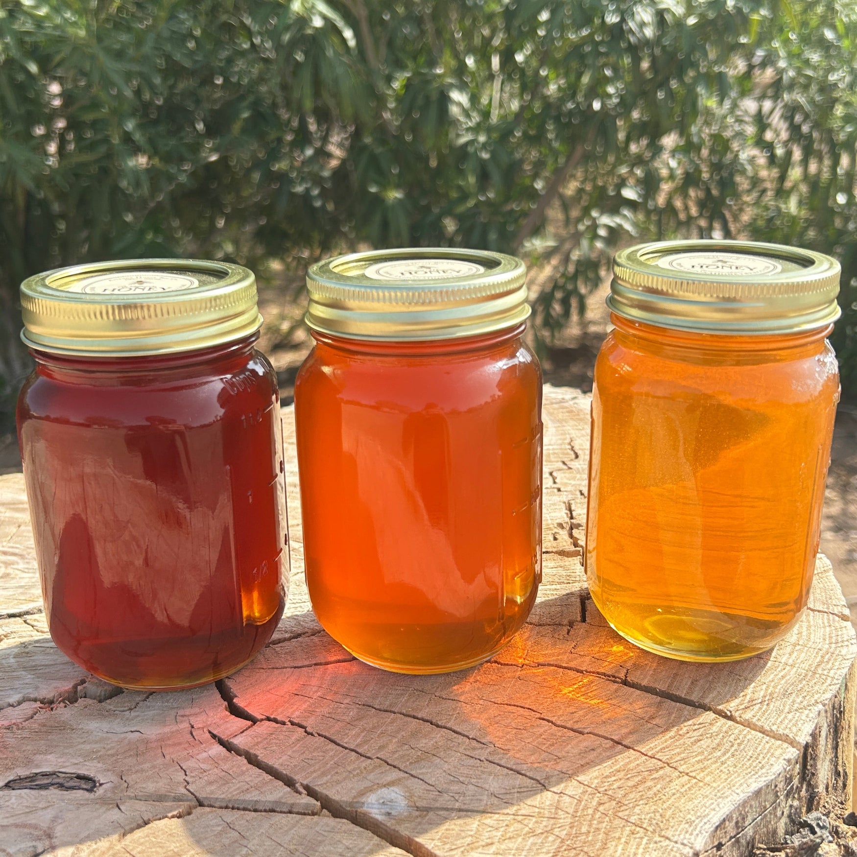 arizonalocalrawhoney – Arizona Local Raw Honey