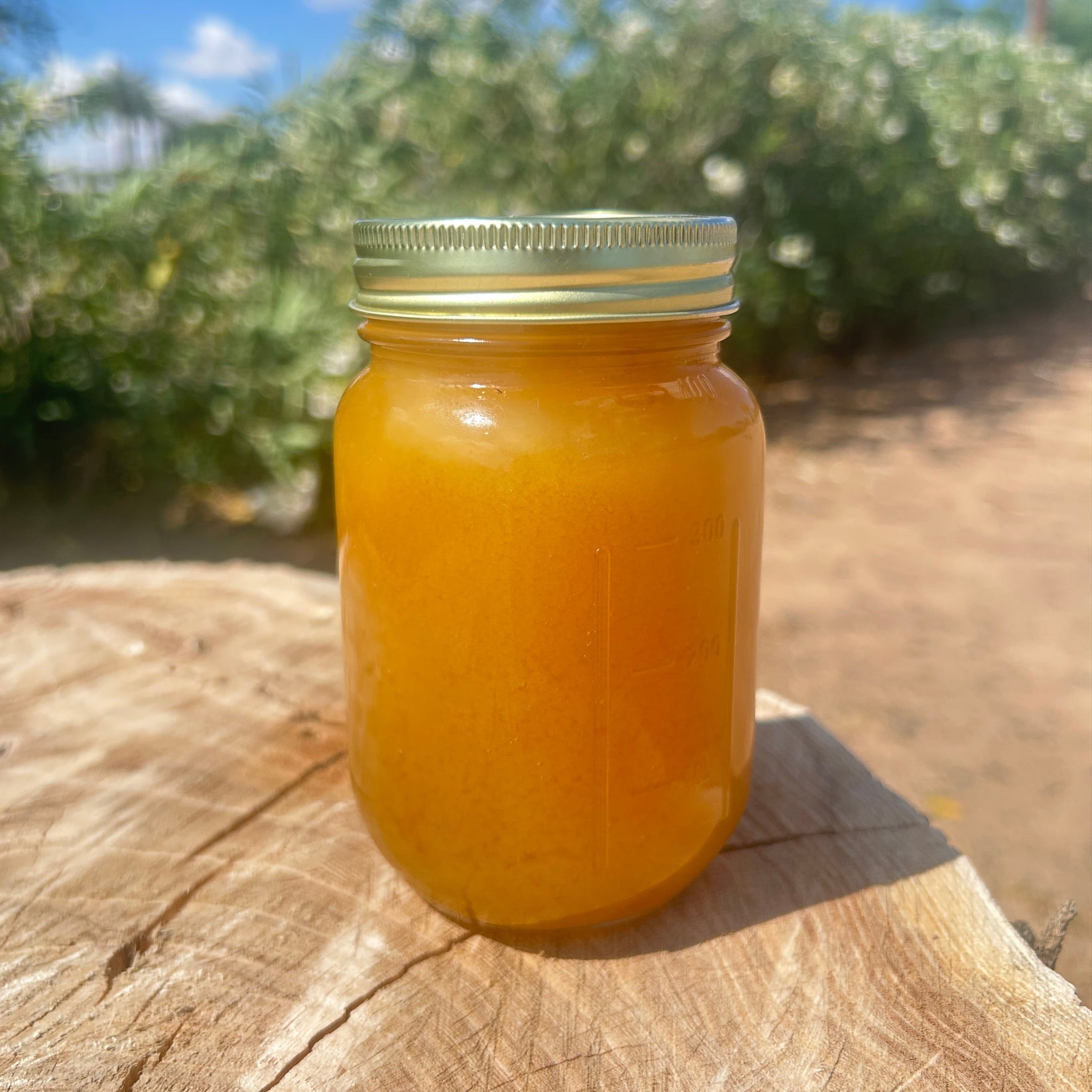 Raw Aged Honey – Arizona Local Raw Honey